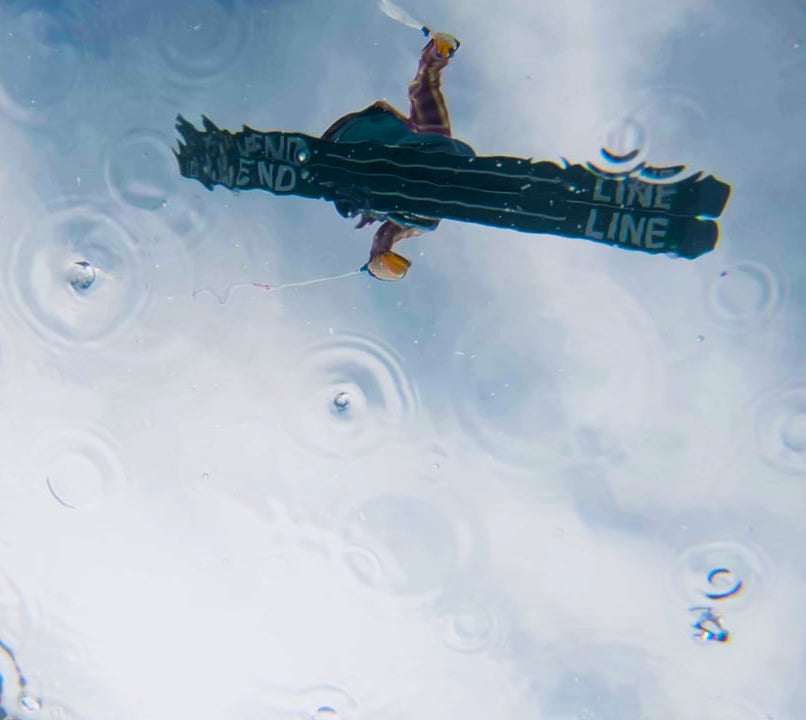 LEVEL 1 PRODUCTIONS' WATER WORLD – Forecast Ski