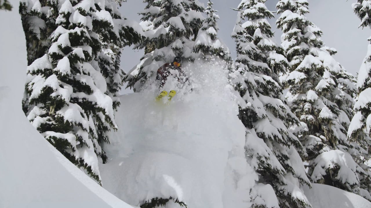 LEVEL 1 x EDDIE BAUER - KC DEANE EDIT – Forecast Ski