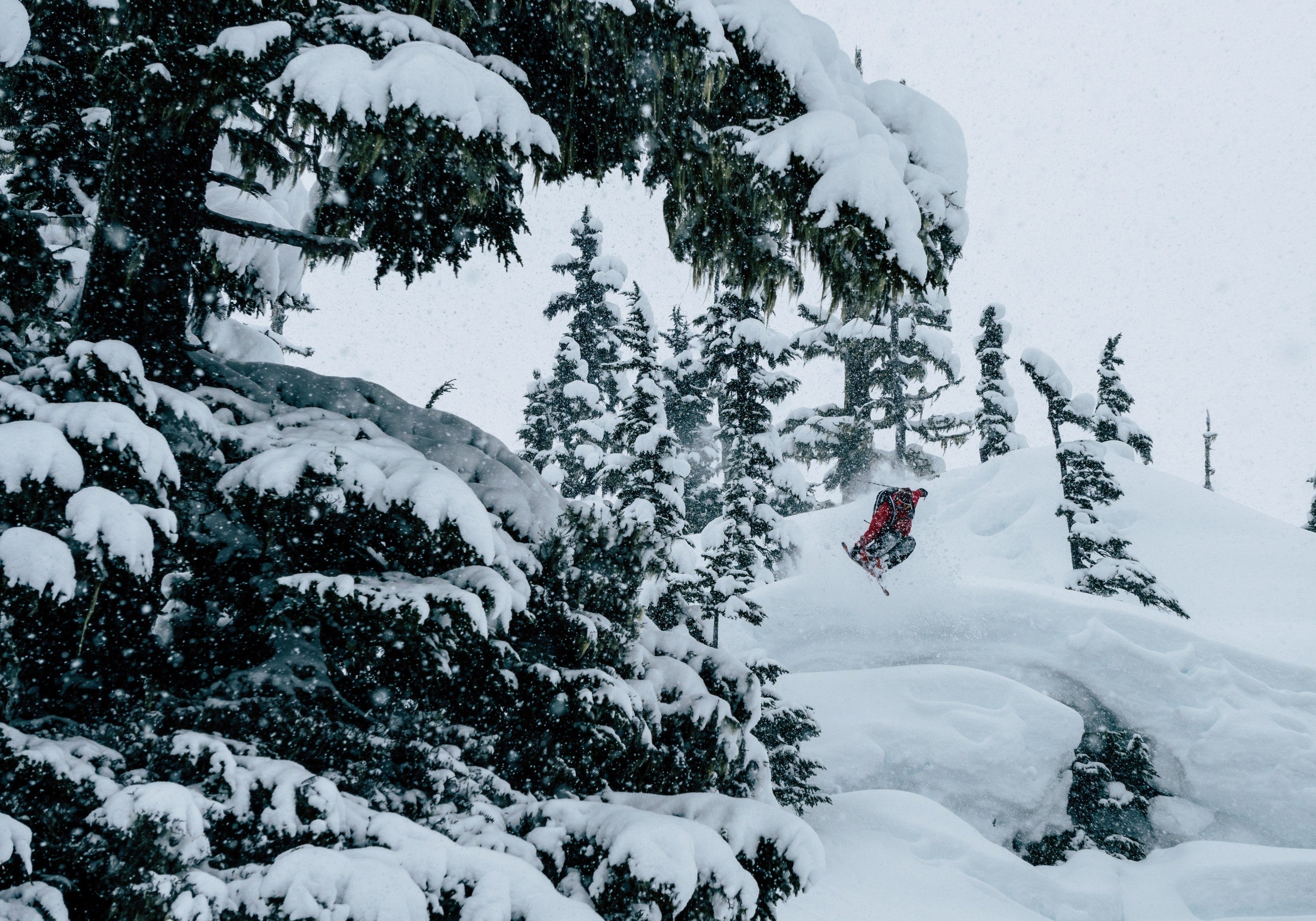 SEEKING NIRVANA - HARD NOSE THE HIGHWAY – Forecast Ski